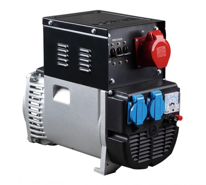 alternatore ad alto rendimento dell'alternatore 3.0KW del doppio dell ...
